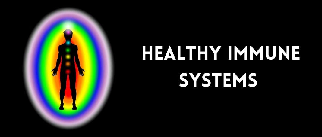 How To Improve Your Immune System - Holistic Approach To Health By ...